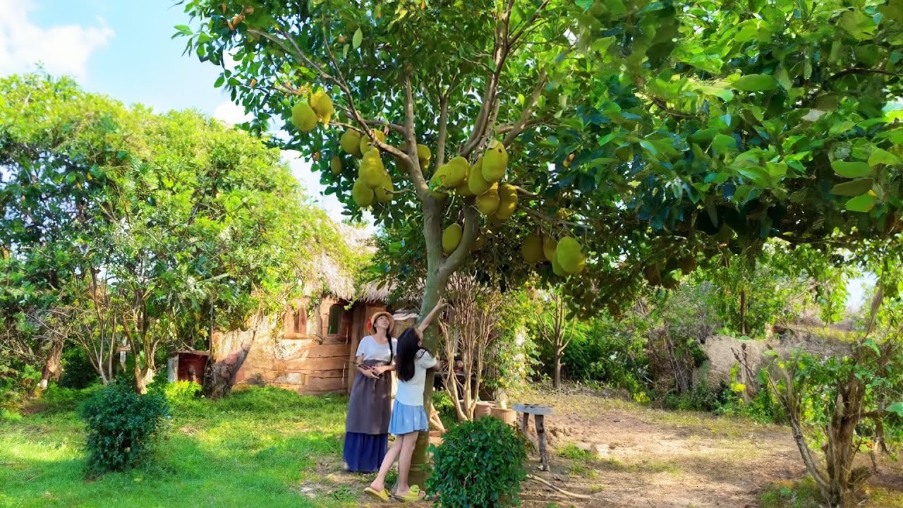 Enjoy beautiful nature with rural life 288 # MP Fresh - YouTube