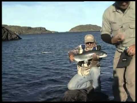 henry en Lago General Carreras - Chile 2013 - YouTube