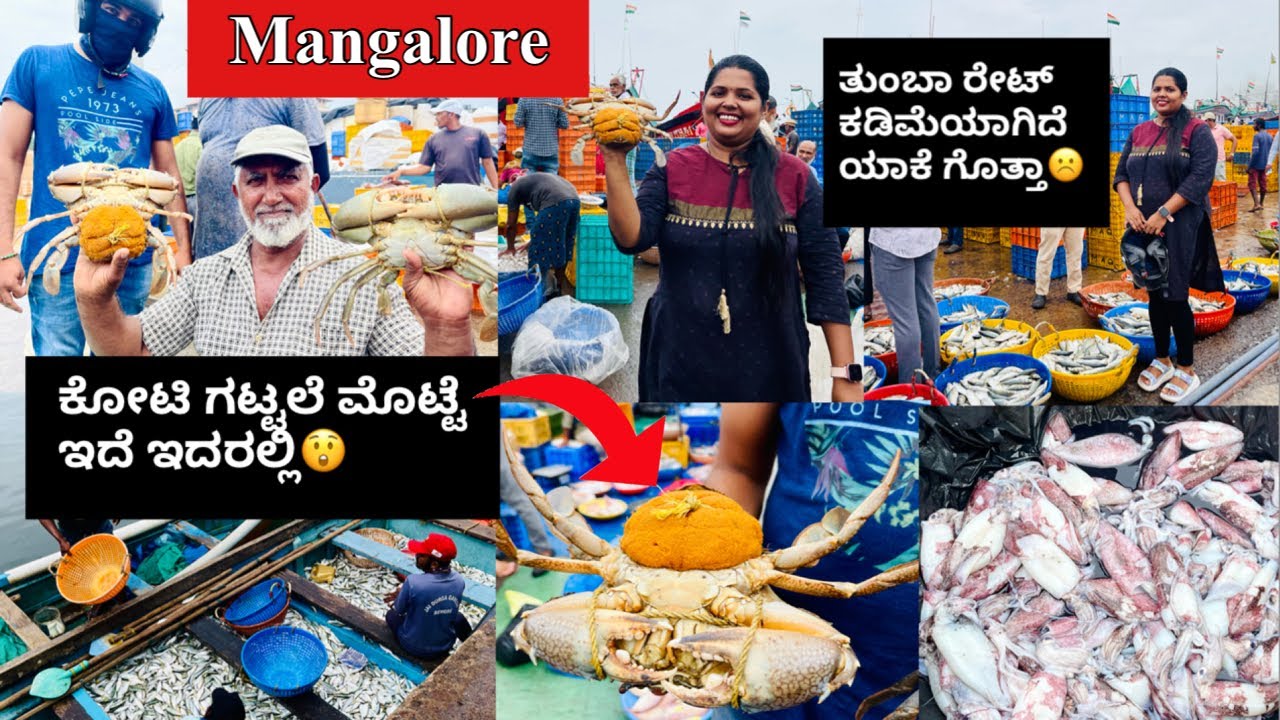 ಬಾರಿ ರೇಟ್ ಕಡಿಮೆಯಾಗಿದೆ ಮಂಗಳೂರು ದಕ್ಕೆಯಲ್ಲಿ ಮೀನಿಗೆ ,ಎನು ವಿಷಯಂತ ನೀವೇ ನೋಡಿ ...