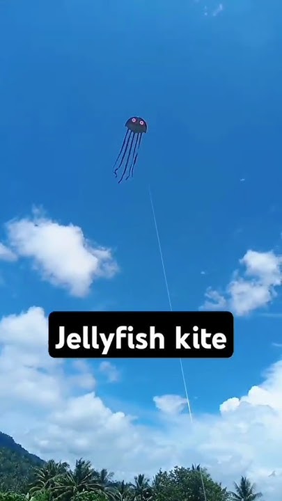 JELLYFISH KITE - YouTube