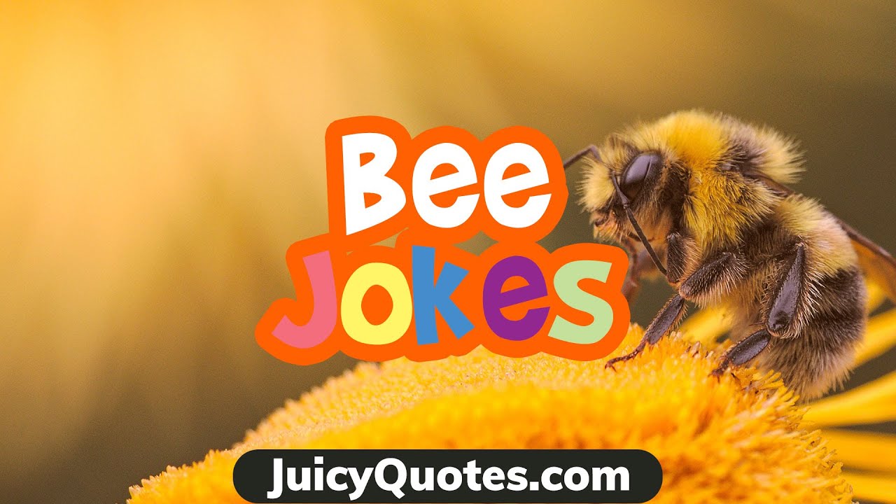 Silly Bee Jokes and Puns - Get Some Laughter In Life - YouTube
