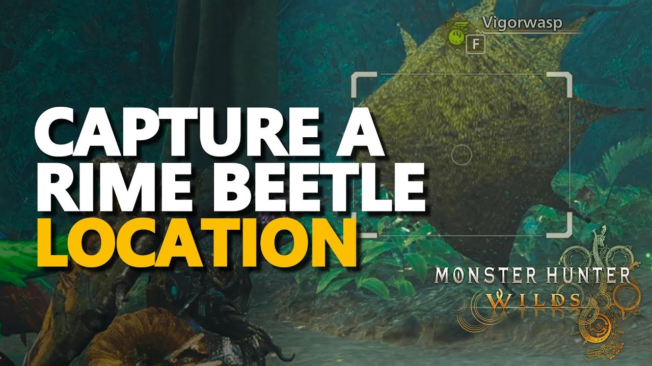 Capture a Rime Beetle Monster Hunter Wilds - YouTube