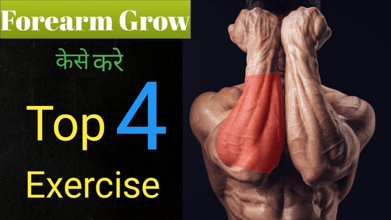 Top 4 Best Forearms Exercises for Bigger - YouTube