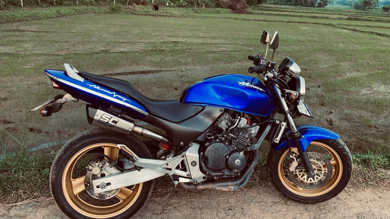 SC PROJECT Hornet lovers bike lovers japan bike lovers 😍 - YouTube