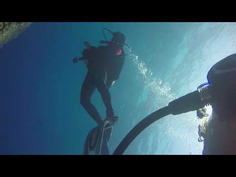Croatia 2017 - Day Five Dive One