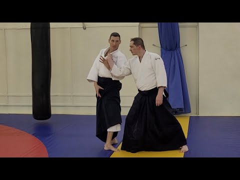 Aikido: Mune dori by Daniele MONTENEGRO sensei - Moscow 2024 Part 2/2 - YouTube