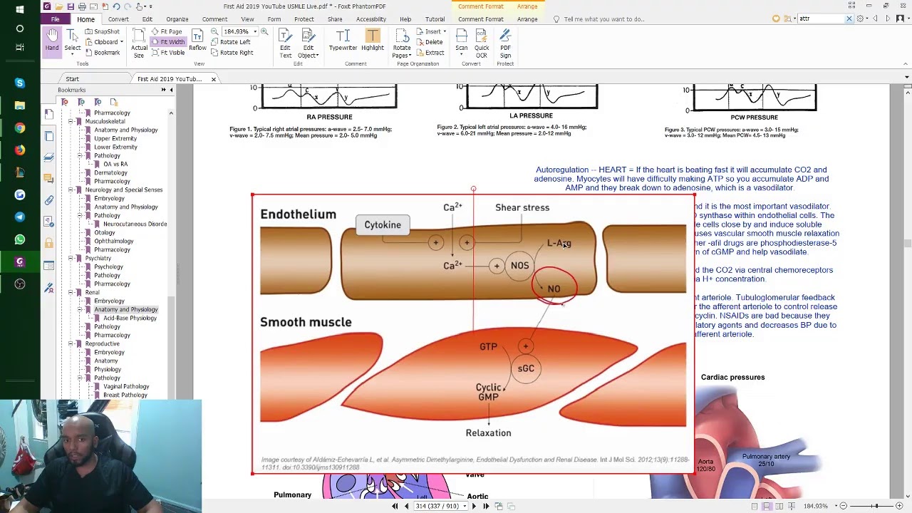 USMLE Live Stream -- First Aid 2019 -- Cardiovascular 8 - YouTube