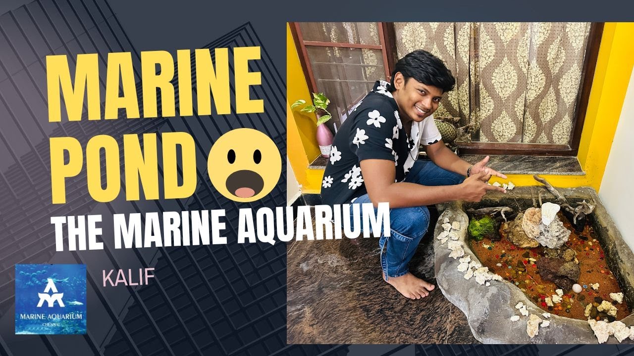 MARINE POND BY THE MARINE AQUARIUM Part 1 #marine - YouTube