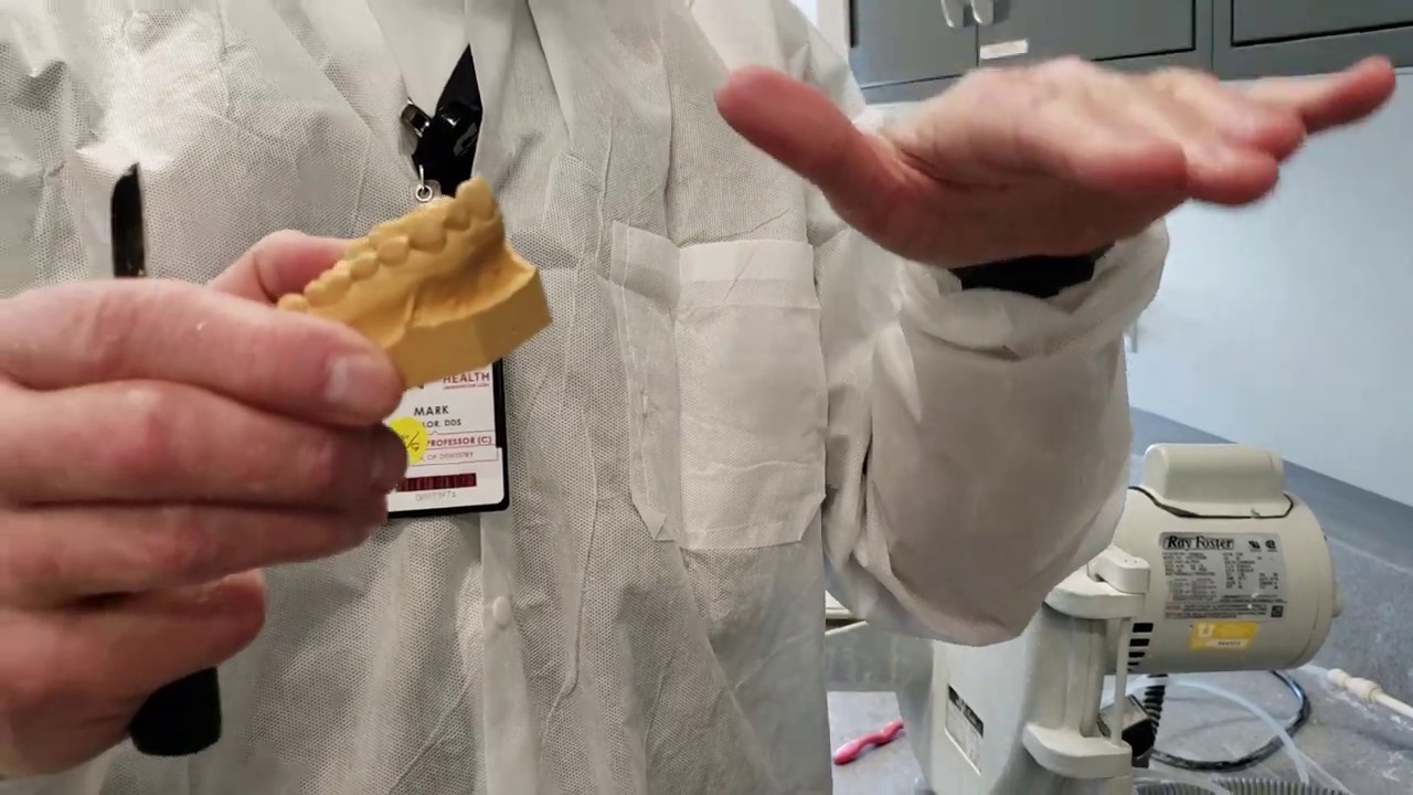 Land Areas of Max. and Mand. Casts - Dr. Mark R. Taylor - YouTube