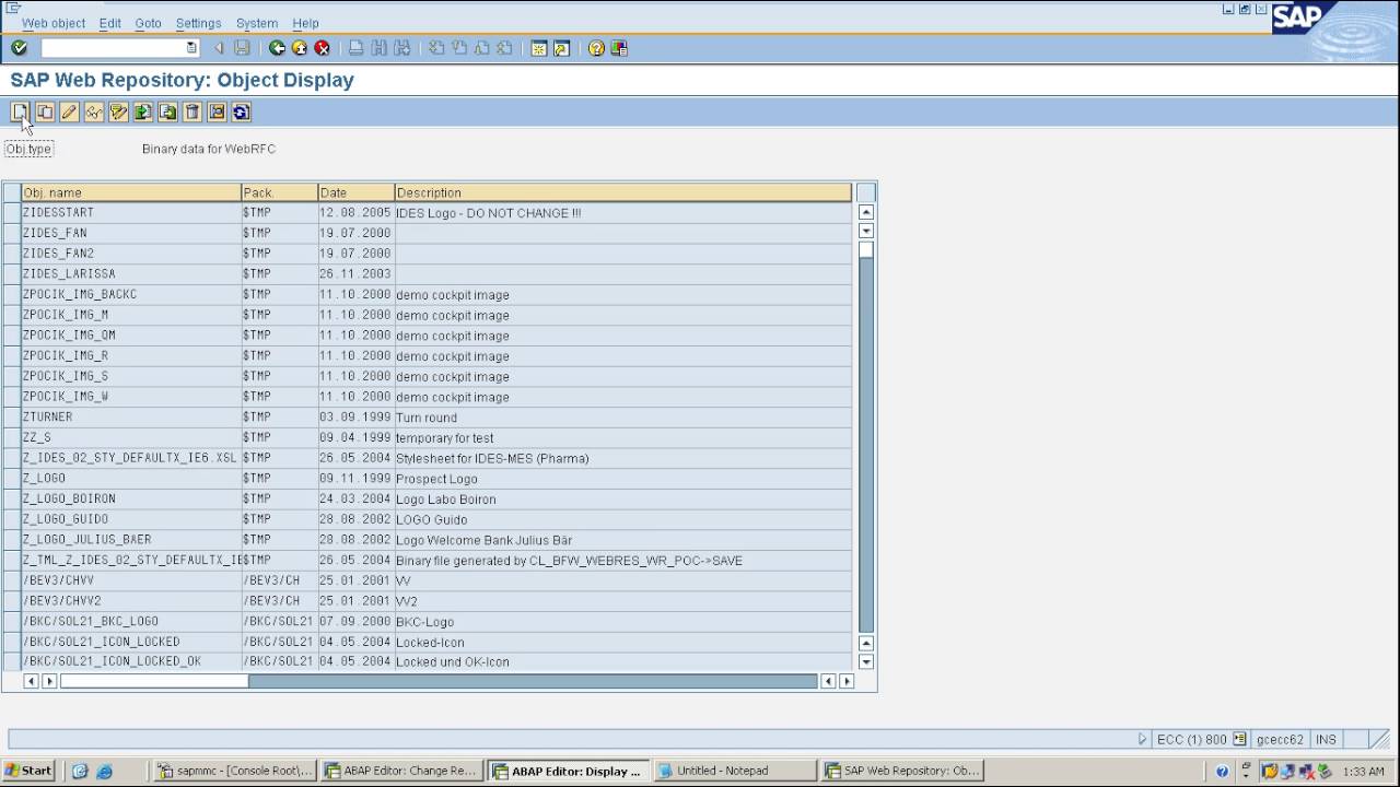 how to change sap logo - YouTube