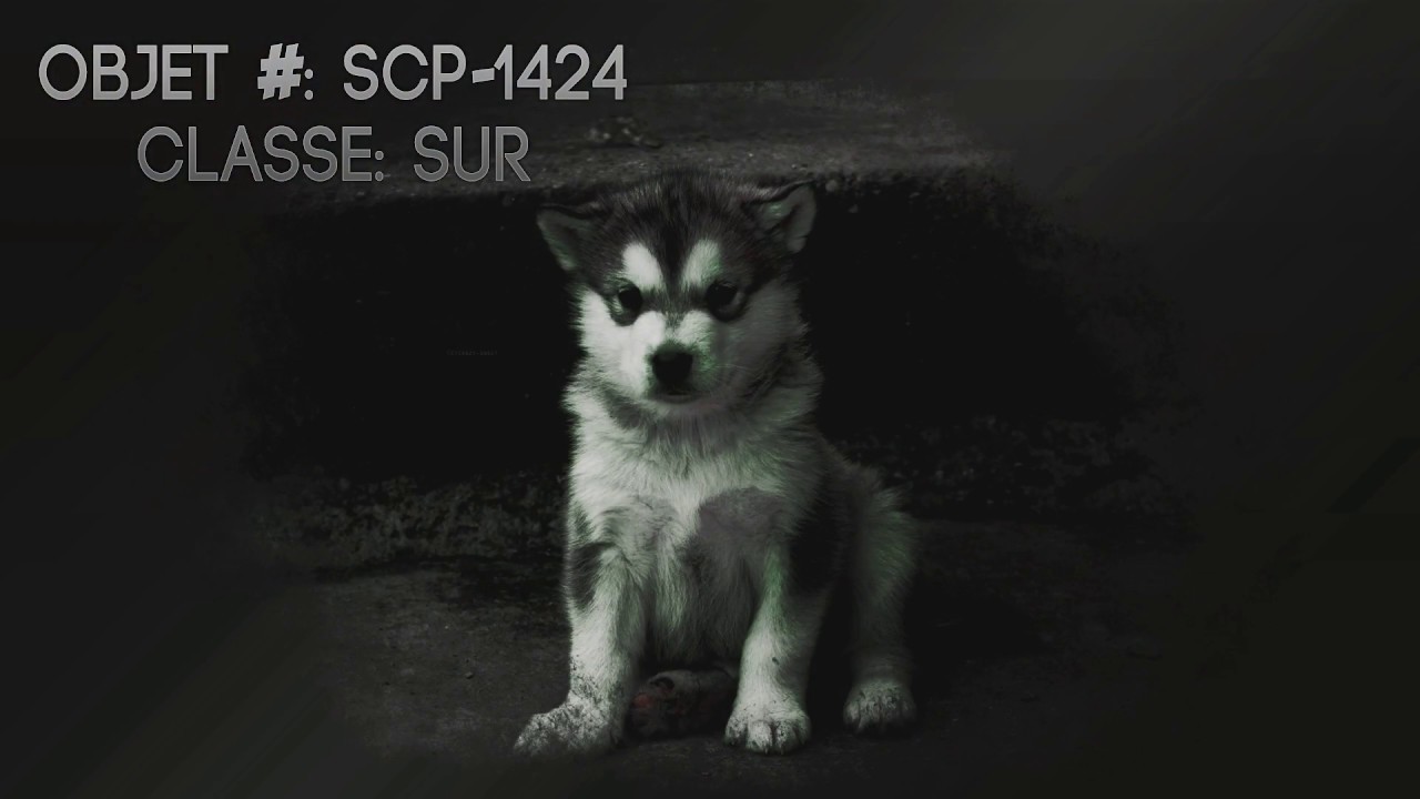 Les contes de la Fondation -【SCP 1424】 - YouTube