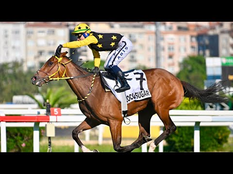 KISRAK KOŞUSU 2026 ( LOCO SUGAR & VEDAT ABİŞ )
