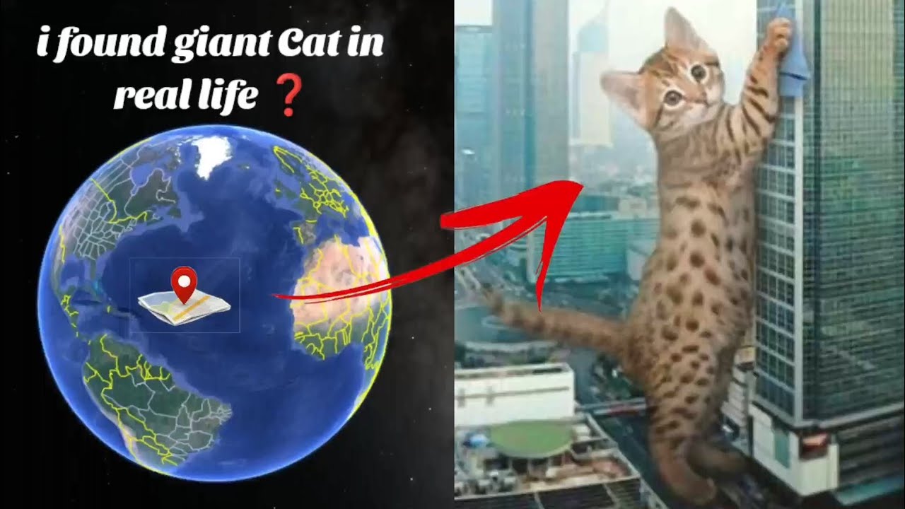 i found giant creepy cat on Google map and google earth #earth #map # ...
