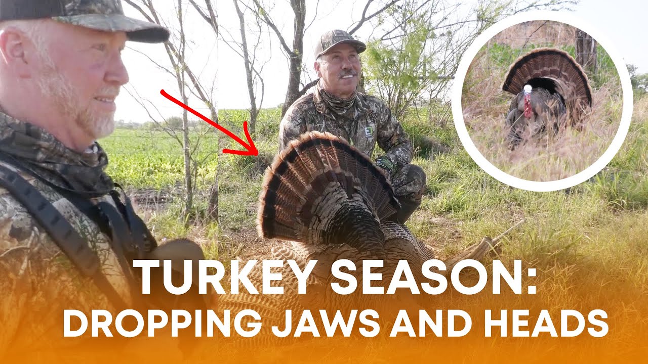 Turkey Season: Dropping Jaws & Heads - YouTube