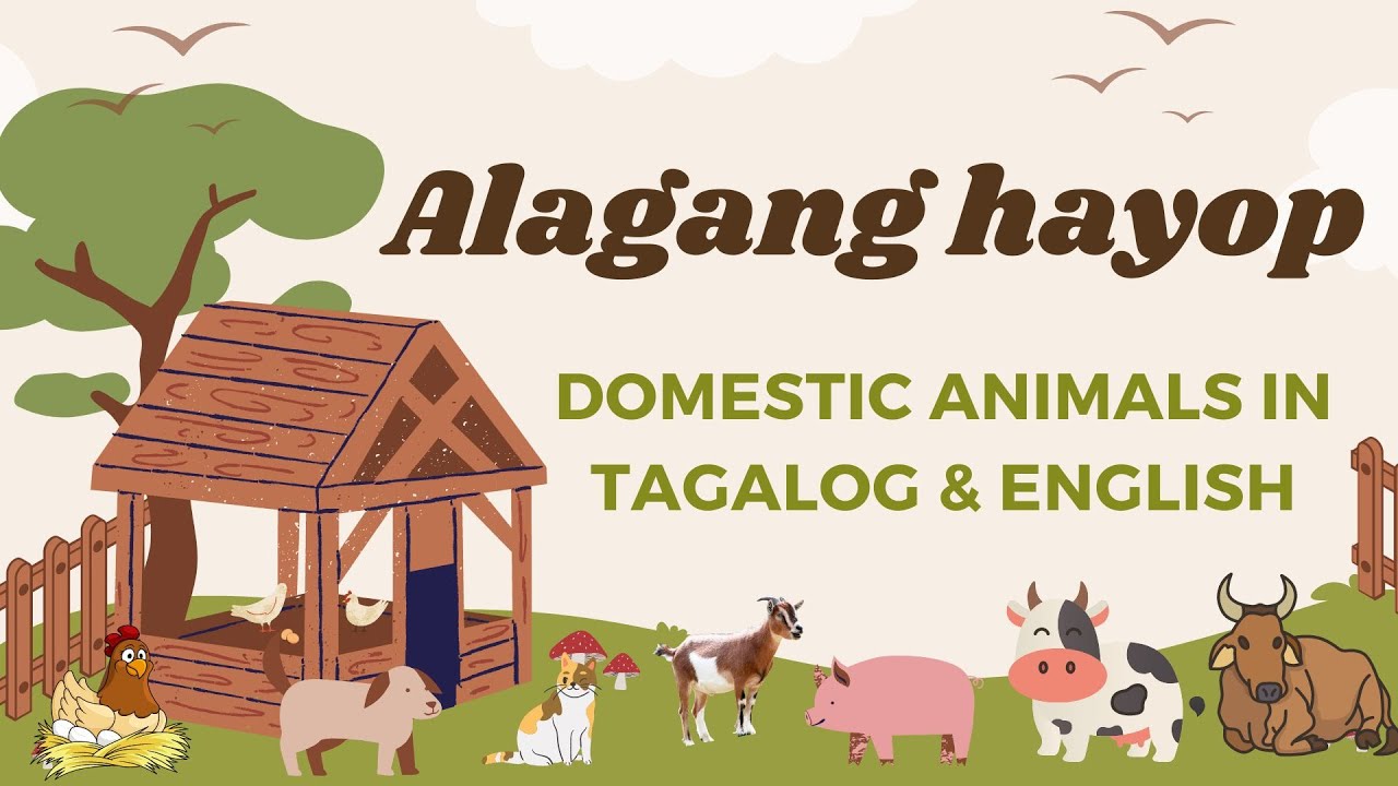Alagang hayop - Domestic Animals in Tagalog & English - YouTube