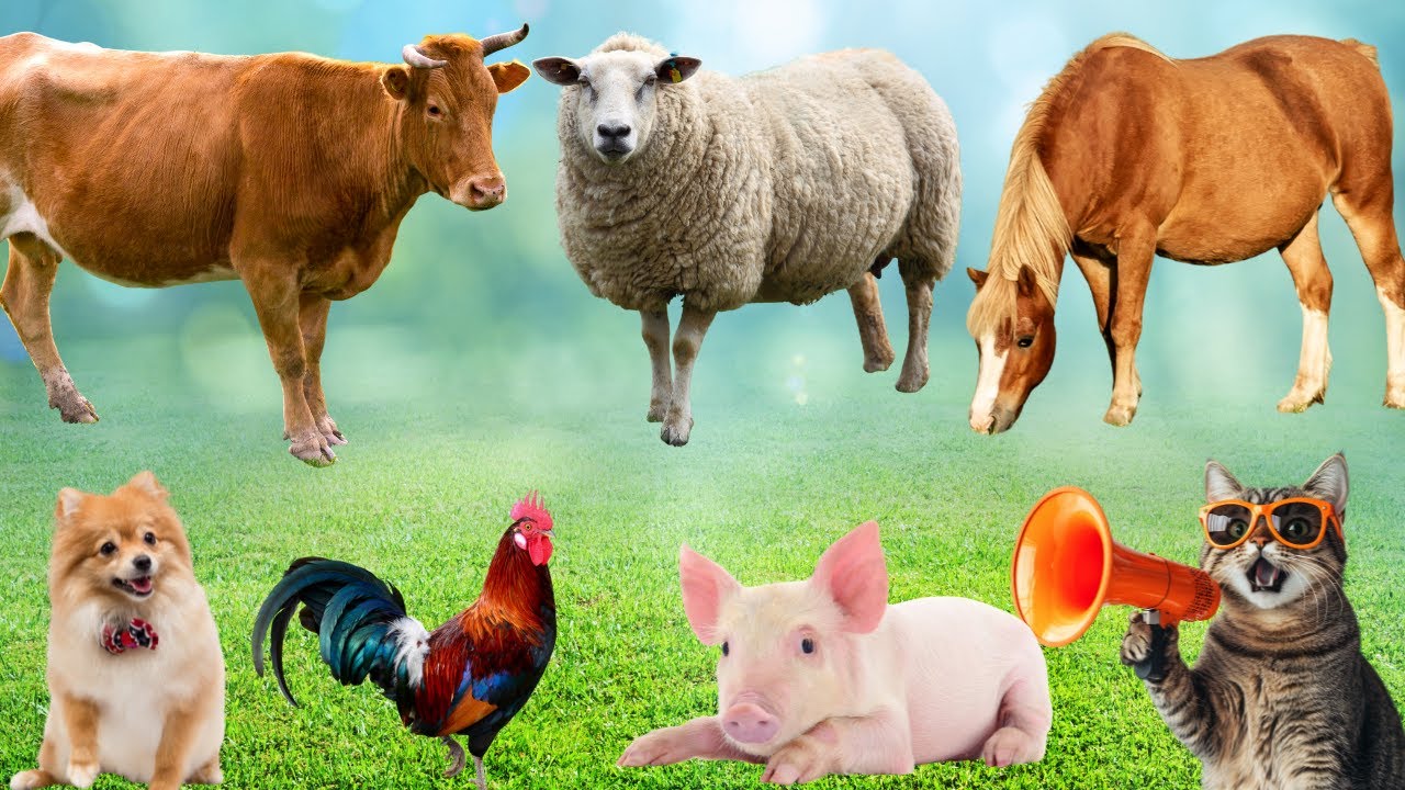 Cute Farm Animals Compilation: Cow, Dog, Pig, Cat, Horse, Sheep, Duck ...