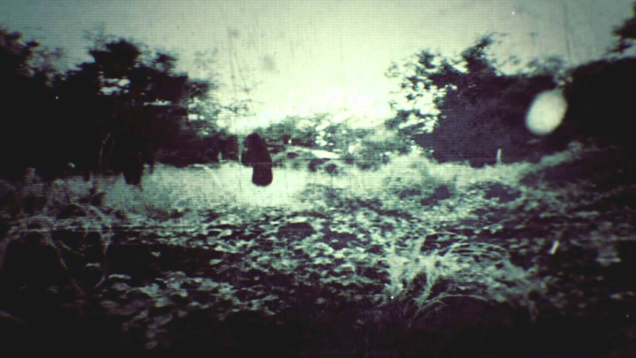 Cryptid: The Swamp Beast - YouTube