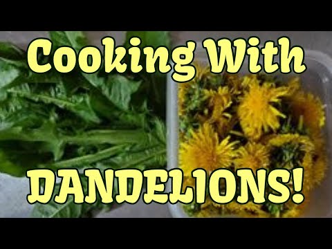 Cooking With Dandelions!~ - YouTube