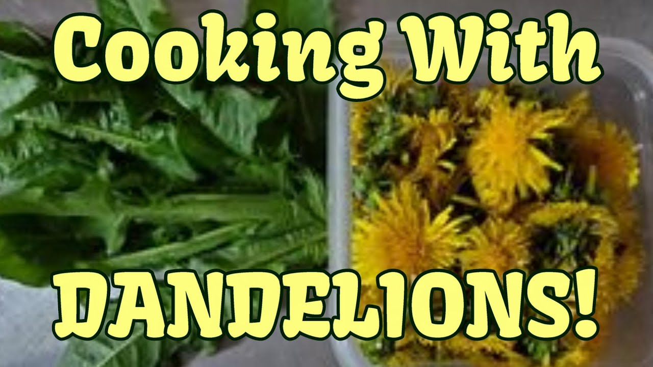 Cooking With Dandelions!~ - YouTube