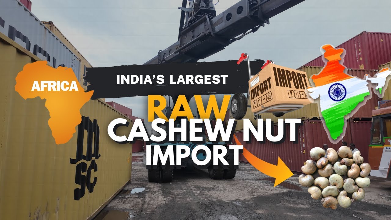 Importing Raw Cashew Nut From Africa - Tuticorin CFS - YouTube