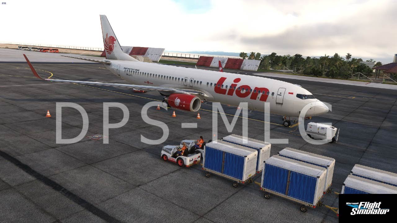 FLY WITH THE LION (DPS-MLG) - YouTube