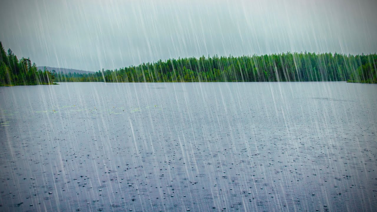 INSTANT RELAX & SLEEP with HEAVY RAIN Pouring on Lake | Rain Sounds ...