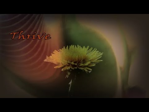 Thrive (FULL ALBUM) - YouTube