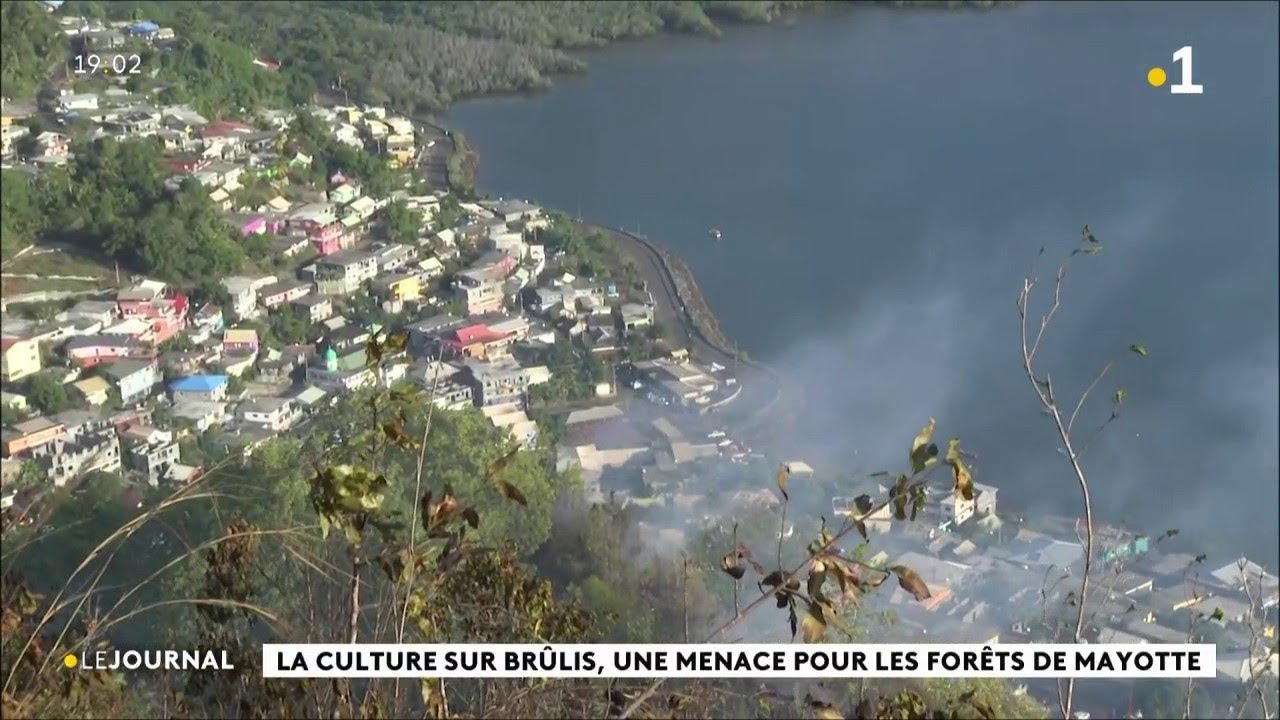 La culture sur brûlis, une menace pour les forêts de Mayotte - YouTube