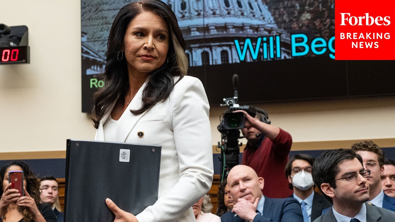 Tulsi Gabbard Makes Case For How Govt Agencies 'Are Being Weaponized ...