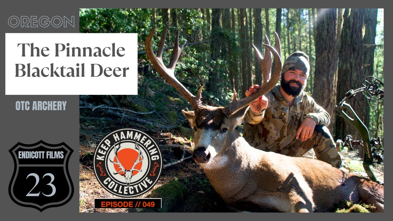 The Pinnacle | High Country Blacktail | OTC Archery - YouTube