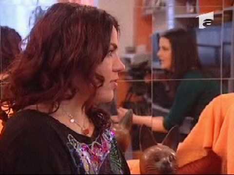Antena1, Observator, Alexandra Toader - YouTube