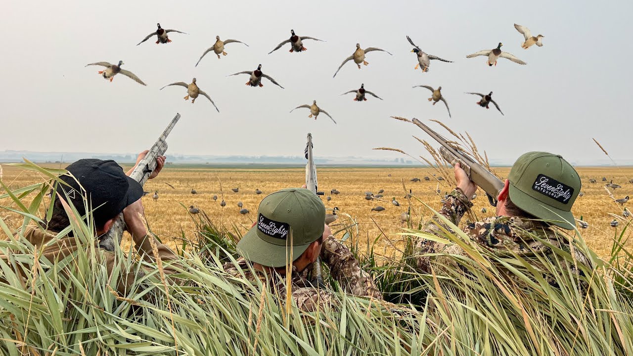 EPIC Canada Duck Hunting Opener! (60 BIRD HUNT) - YouTube