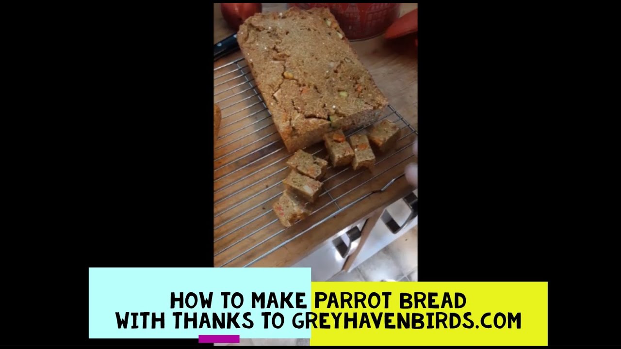 How To Make Parrot Bread (with thanks to greyhavenbirds.com!) - YouTube