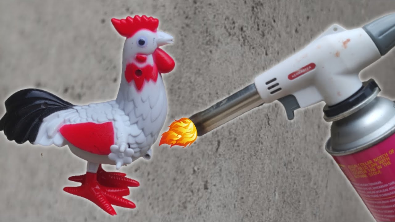 EXPERIMENT : GAS TORCH VS CHICKEN - YouTube