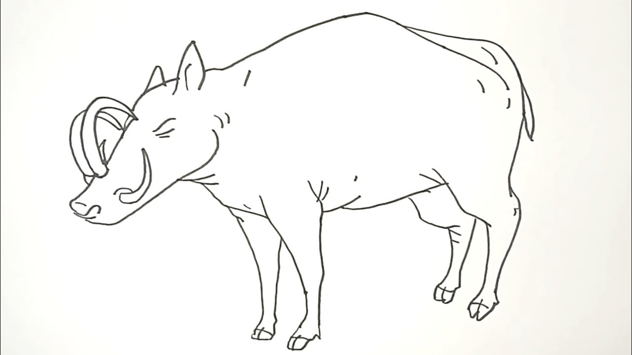 Menggambar Babi Rusa || Cara Menggambar Mudah - YouTube