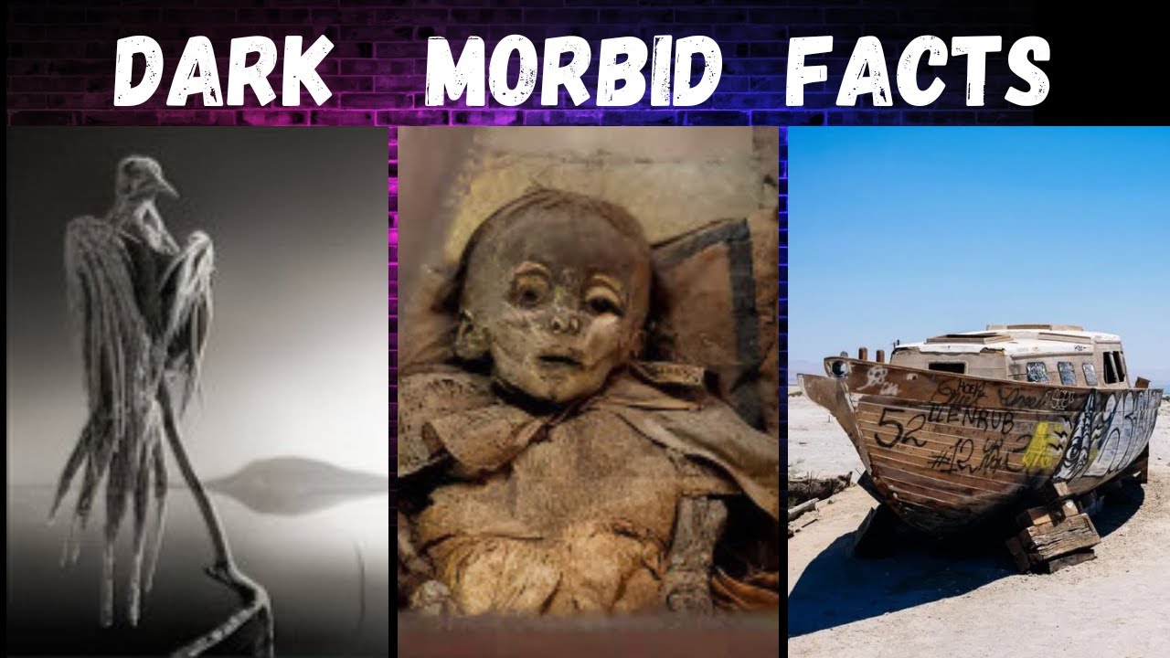 Morbid Facts You Won't Believe Are True pt.87 | Creepy Tiktok Videos ...