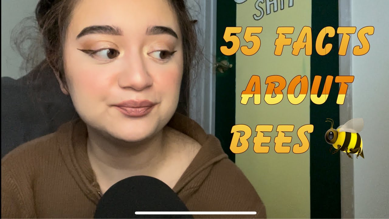 ASMR 55 Facts about Bees 🐝 | WHISPERED - YouTube