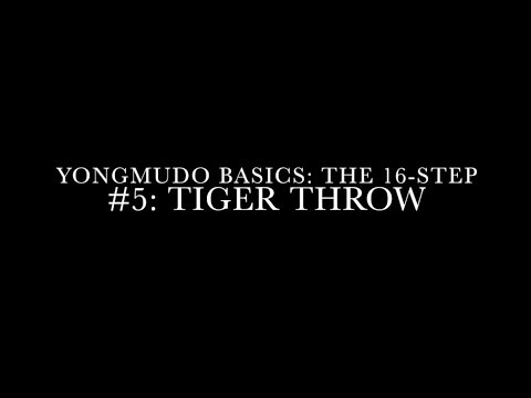 Yongmudo Basics: 16-Step #5, Tiger Throw - YouTube