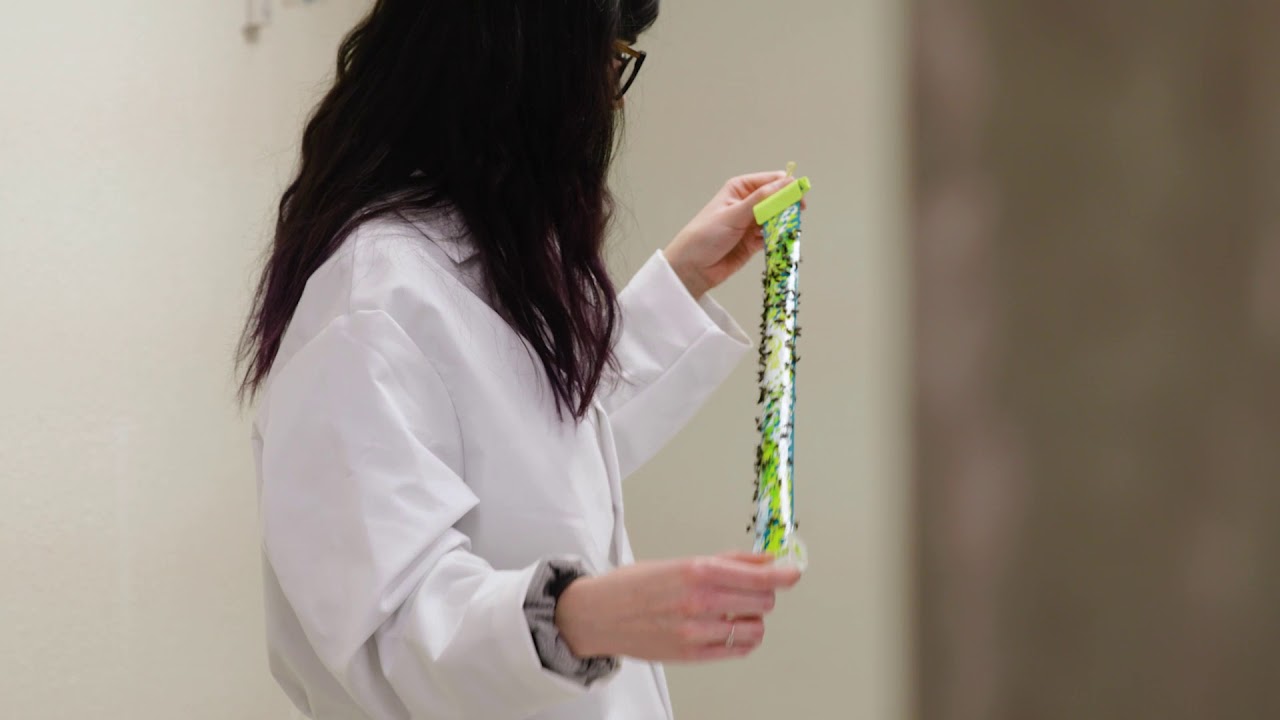 Fly Tape Face Off: RESCUE! vs. Victor - YouTube