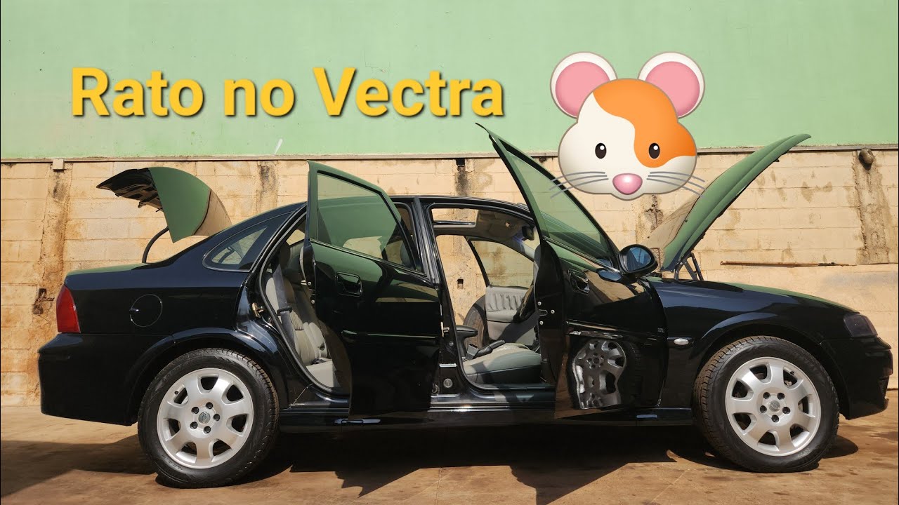 #Vectra - Encontrei um RATO no meu carro. - YouTube