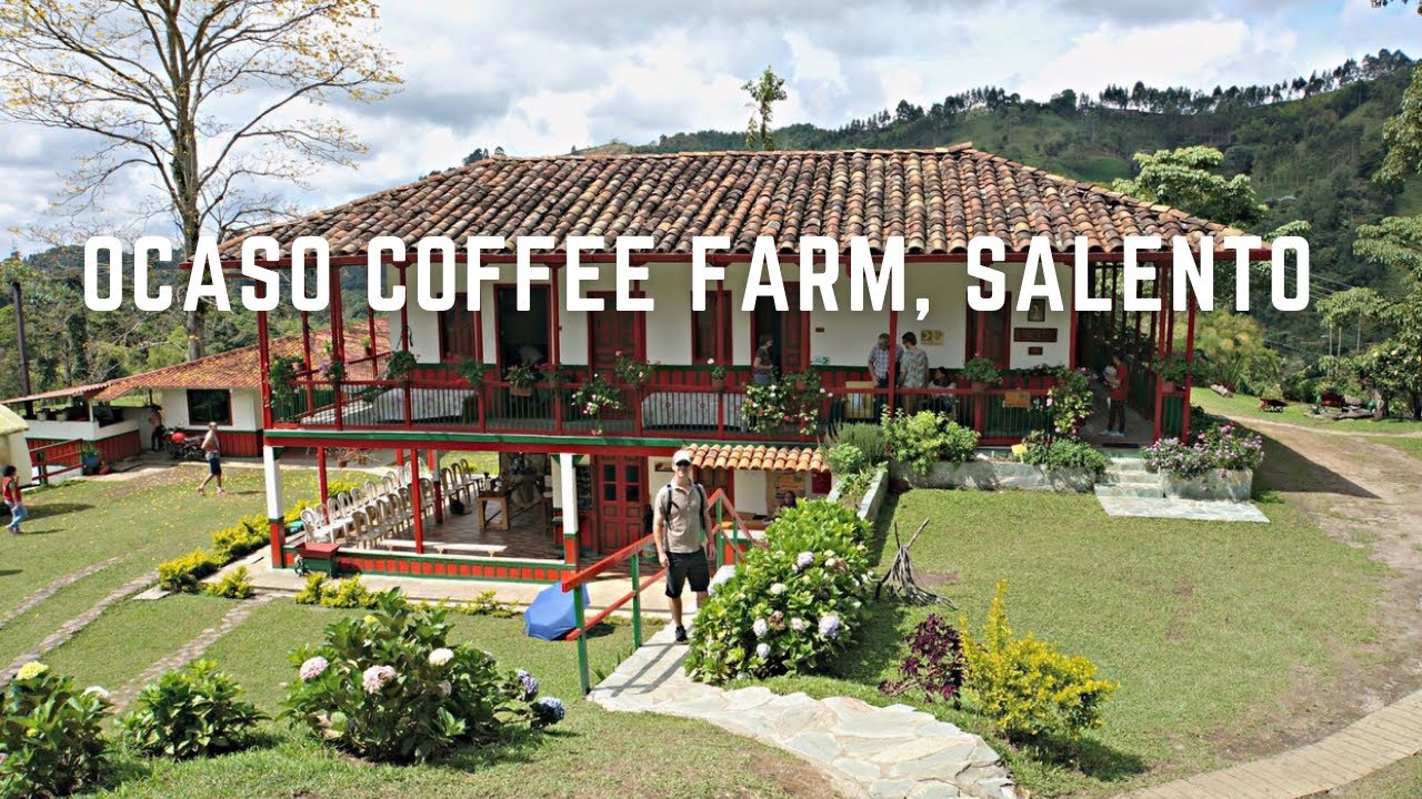 Ocaso Coffee Farm, Salento, Colombia - YouTube