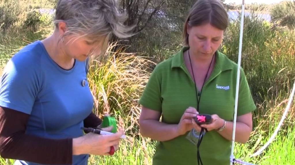 Vegetation Plots Video - YouTube