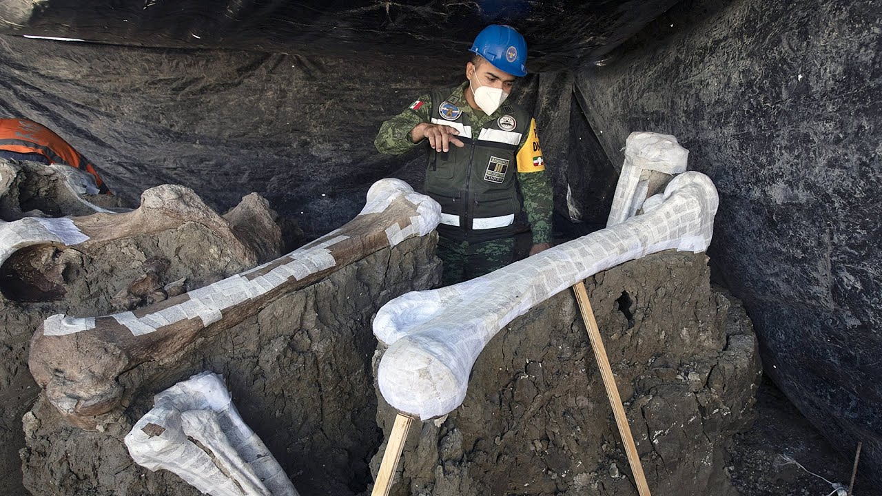 Mammoth Bones In Mexico Rewrite History - Fall Chill Attacks Us ...