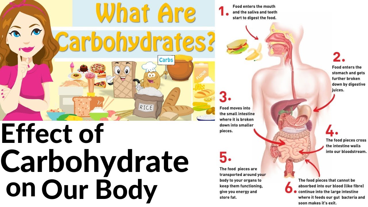Effect Of Carbohydrate On Our Body | Difference Between Micronutrients ...