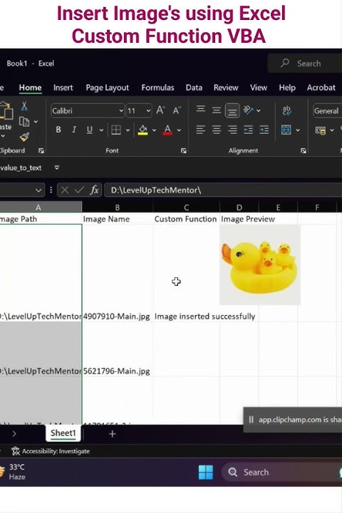 Insert Images Using Excel Custom Function Vba Part 3 Exceltutorial