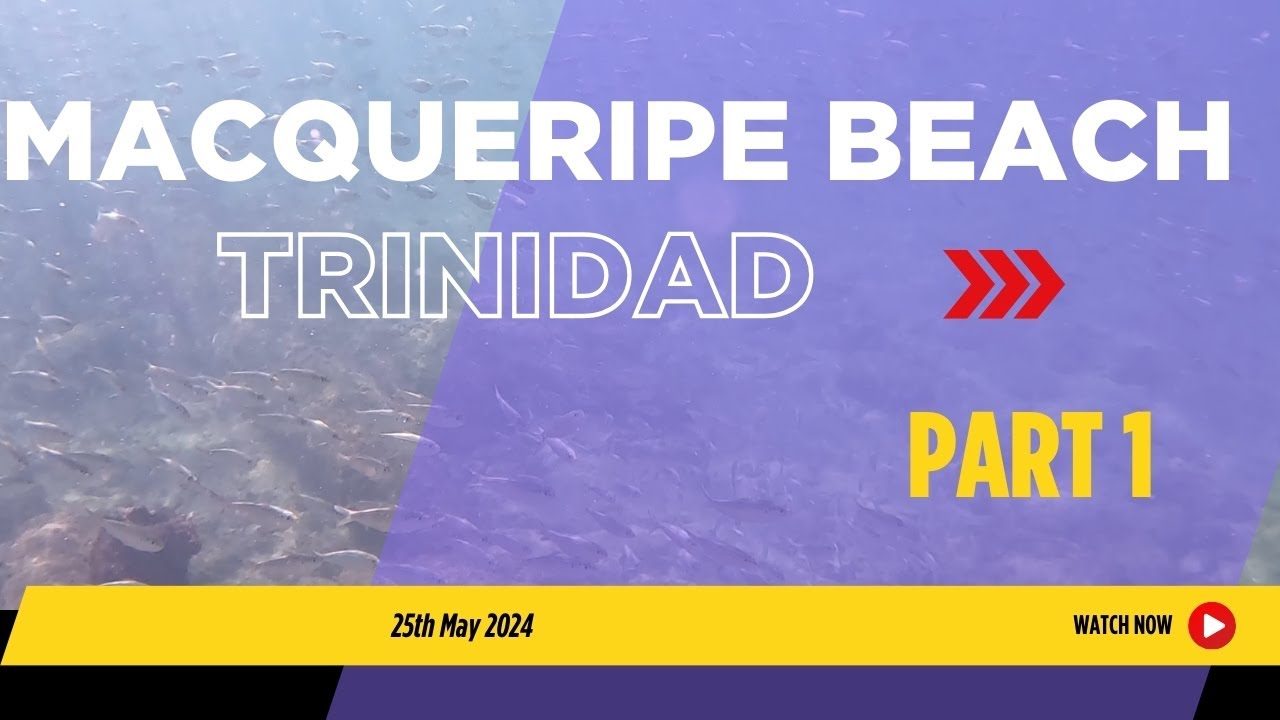 4K Video - Macqueripe Beach Trinidad May 25, 2024 - YouTube