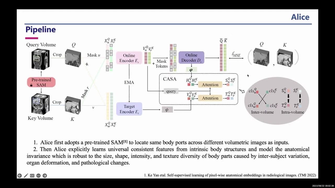Anatomical Invariance Modeling and Semantic Alignment for Self-supervised Learning in 3D Medical ...