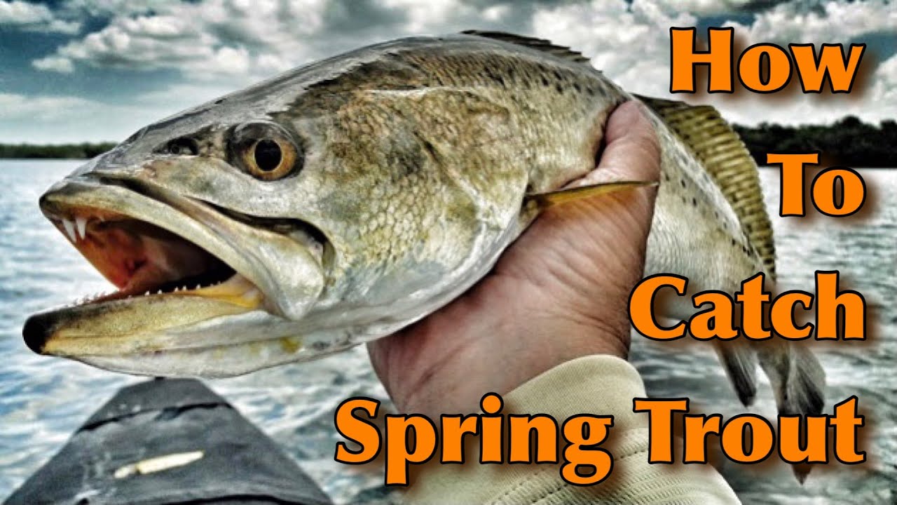 How to Catch Spring Time Trout - Back on Land #1 - YouTube
