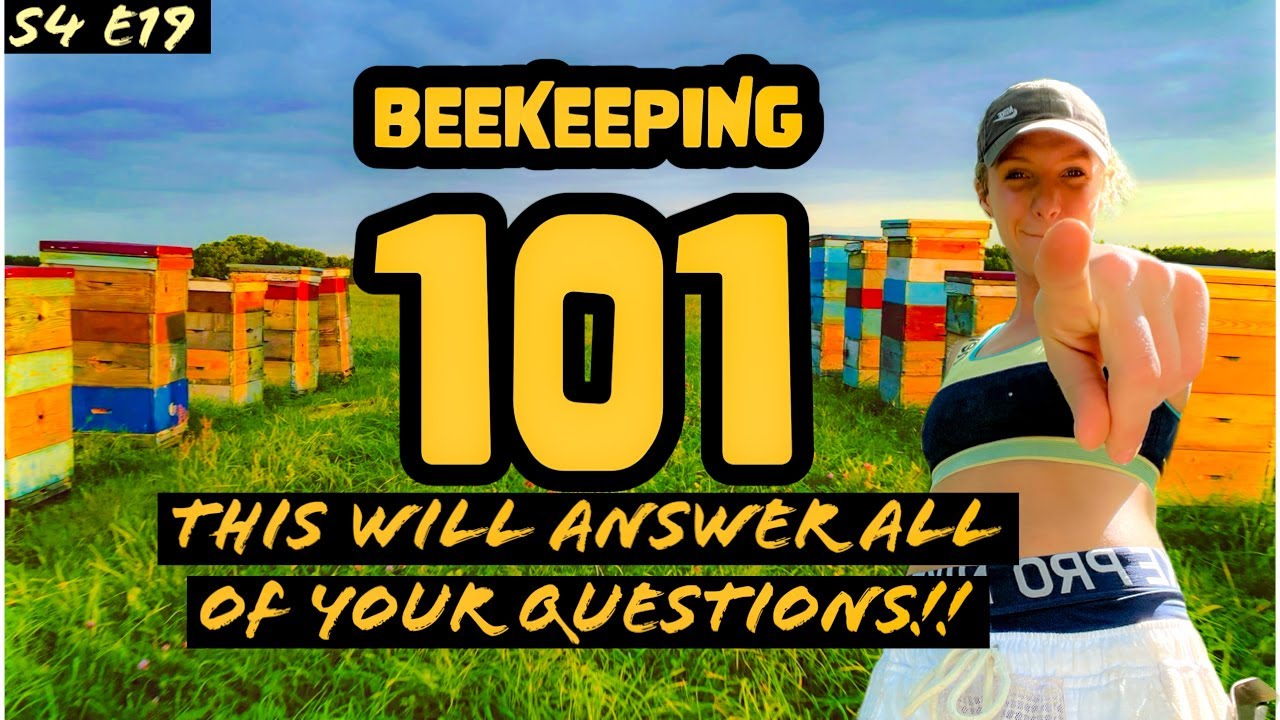 FULL Live Beginner Beekeeping Class for the REAL Beginner / Beekeeping ...