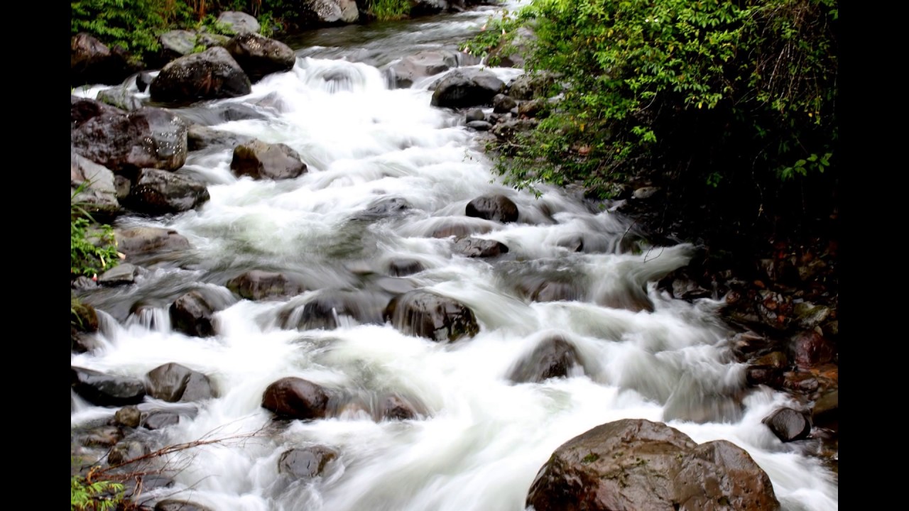 Guardianes de los Rios Paraíso de Boquerón Panama - YouTube
